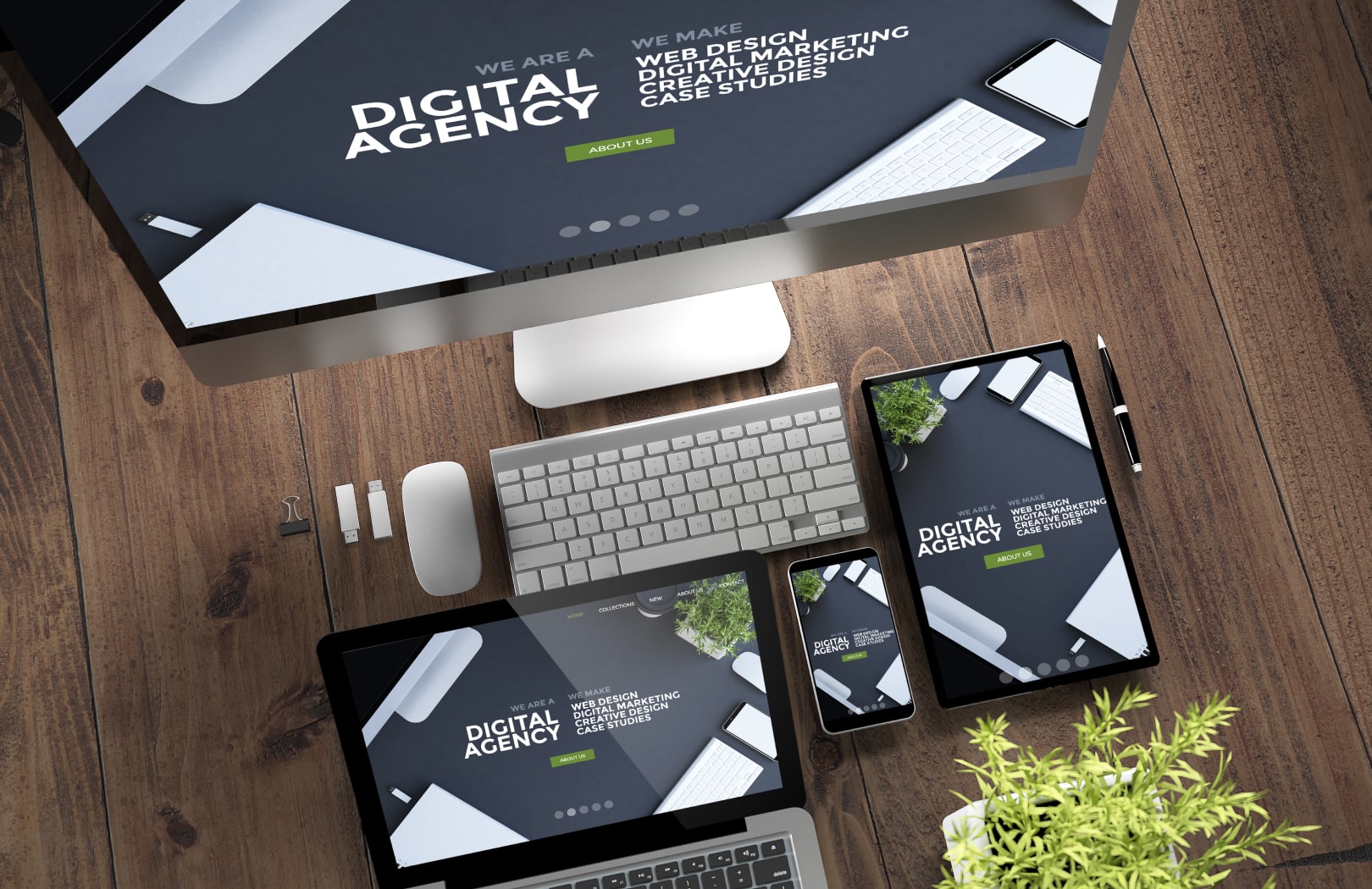 Website Design & Development | Vector Bros Web Design & Digital Marketing